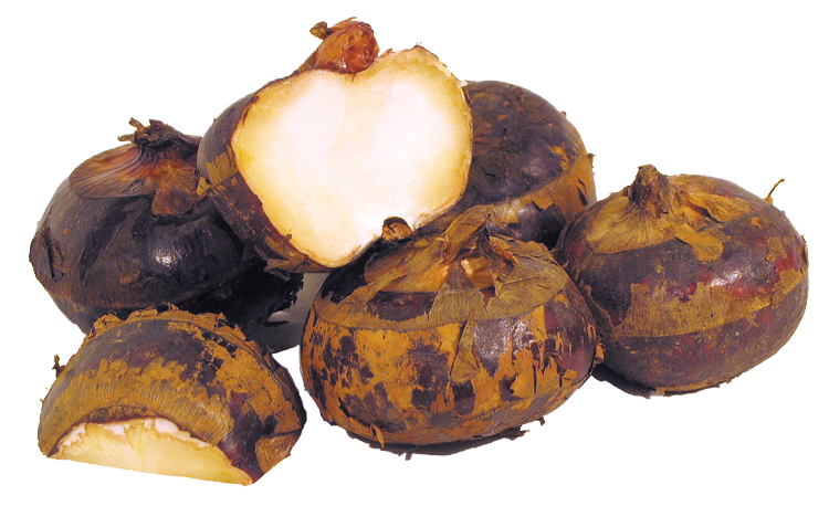 Japanese Water Chestnuts 4. Water Chestnuts: Fruits Of Trapa Bispinosa