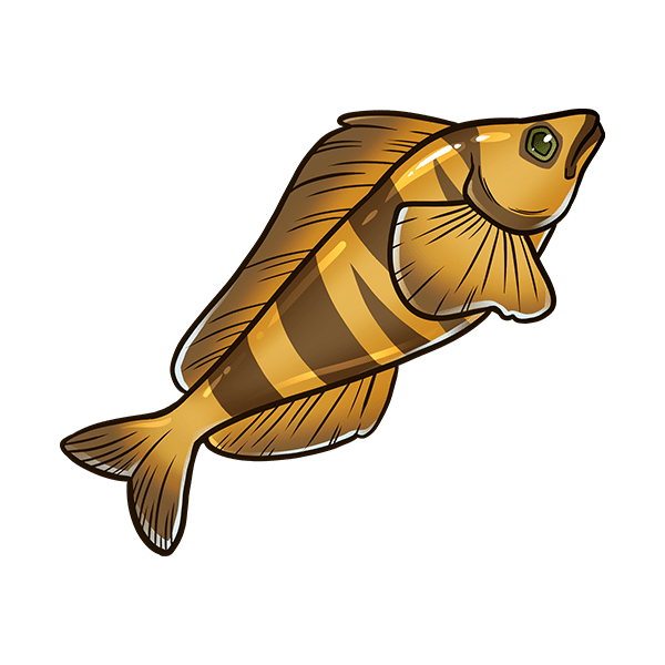 Learn More About Atka Mackeral | Uwajimaya