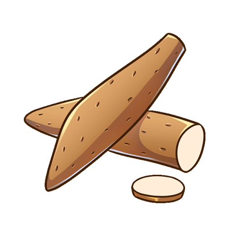 Explore Yamaimo: Japanese Mountain Yam for Cooking and Recipes