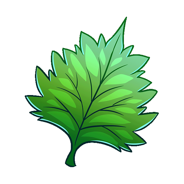 Uwajipedia | Learn More About Shiso | Uwajimaya