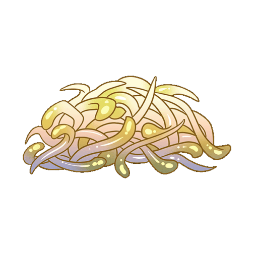 Guide to Enoki Mushrooms | Uwajipedia