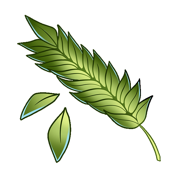 Add Aroma & Flavor with Curry Leaves | Uwajipedia | Uwajimaya